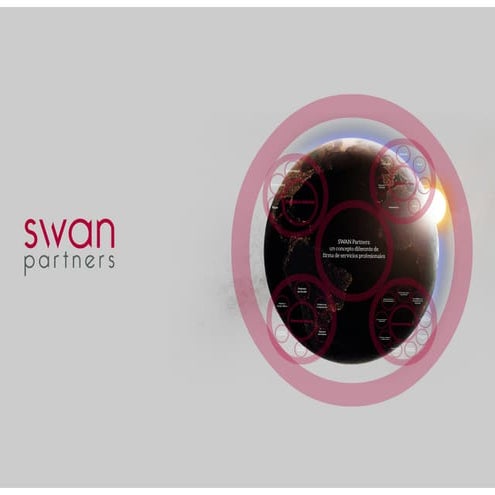 Swan partners
