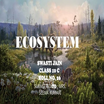 Ecosystem powerpoint presentation for any class required | PPTX