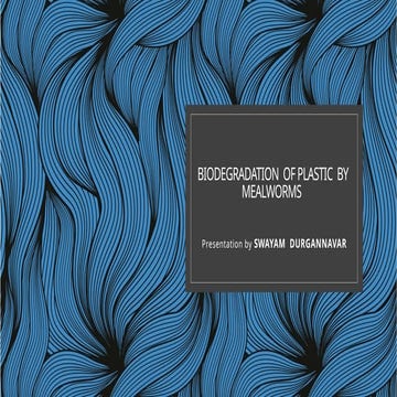 swayam avikar.pptxsbshsjksbswh ss sbb. S s. S | PPTX