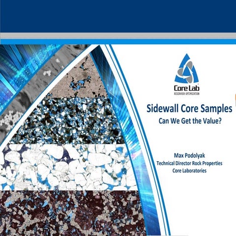 Side Wall Core Analyses - Can we get a value? | PDF