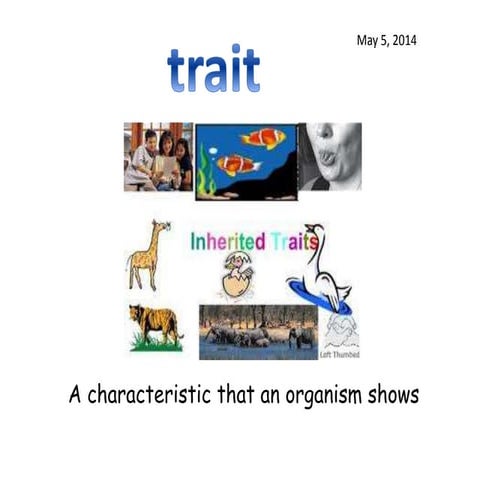 Swd may5 organisms | PPT