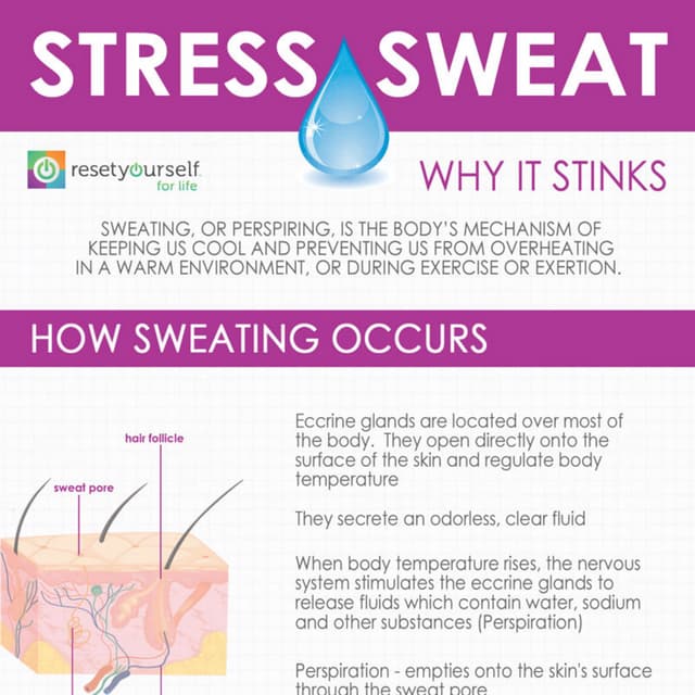 Sweat infographics | PDF