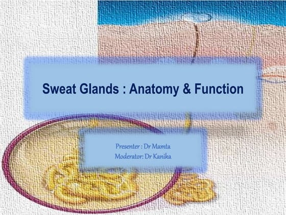 Understanding Specular Microscopy.ppt