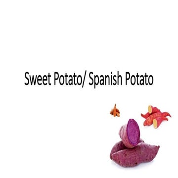 Production technology of Sweet Potato.pptx