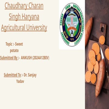 Sweet potato vegetable science ppt simple | PPTX