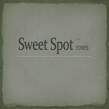 Sweet Spot Roses | PPTX