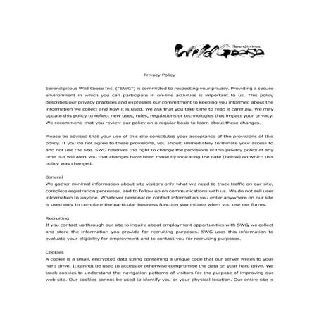 Swg privacy policy | PDF | Internet | Computing