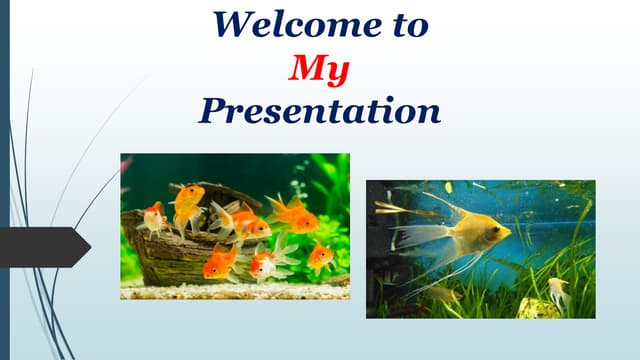 Skeleton of fishes | PPTX