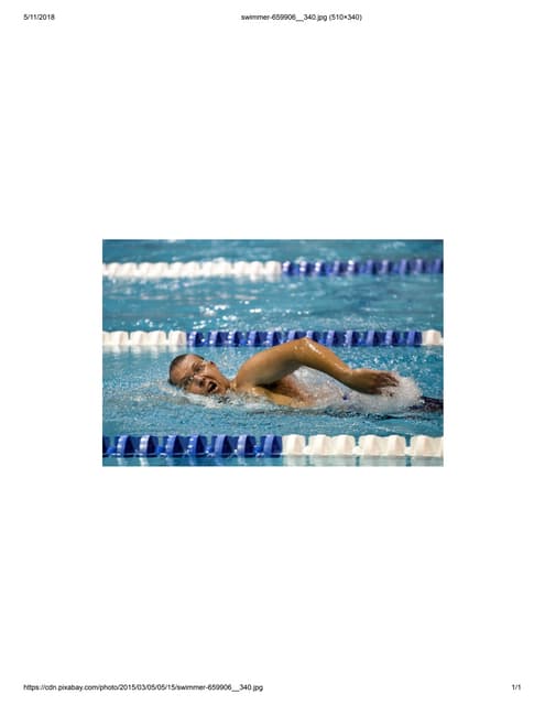 Different people, different stories | PDF