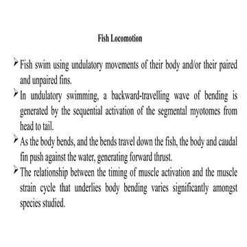 Fish Swimming mode in aquatic environment | PPTX