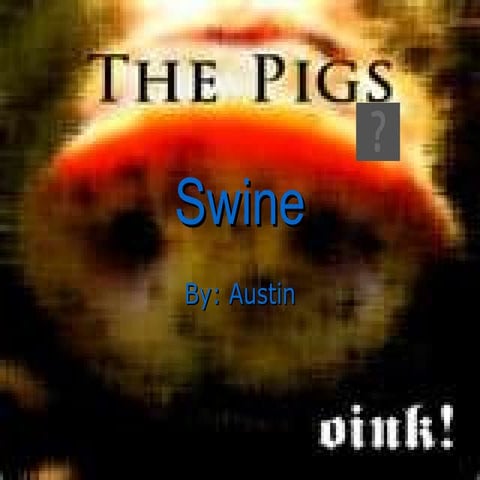 Swine--Austin | PPT