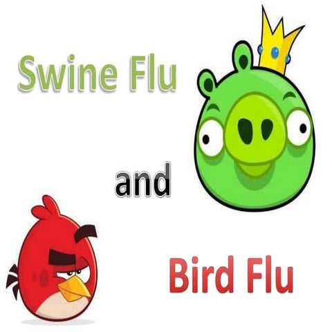 Swine Flu And Bird Flu 180616112123 Pptx