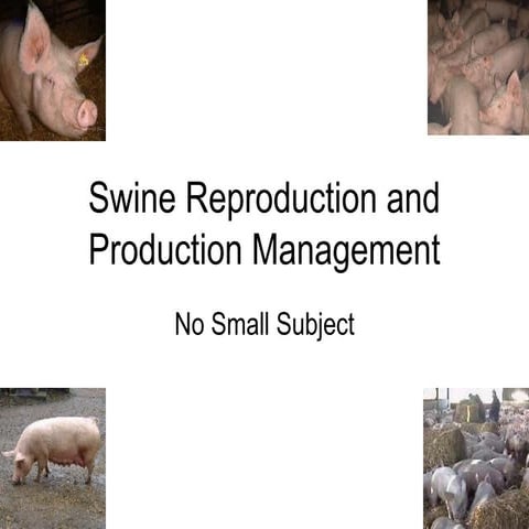 Swine-Reproduction-and-Production-Management.ppt
