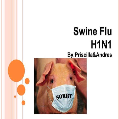 Swine Flu Ppt Ppt