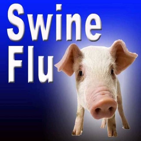 Swine flu Awareness for students [2010] | PPT