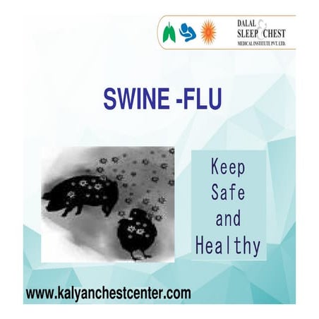 Swine Flu Ppt Ppt