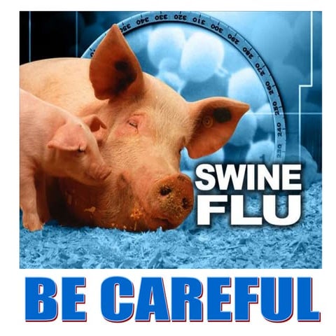 SWINE FLU.ppt