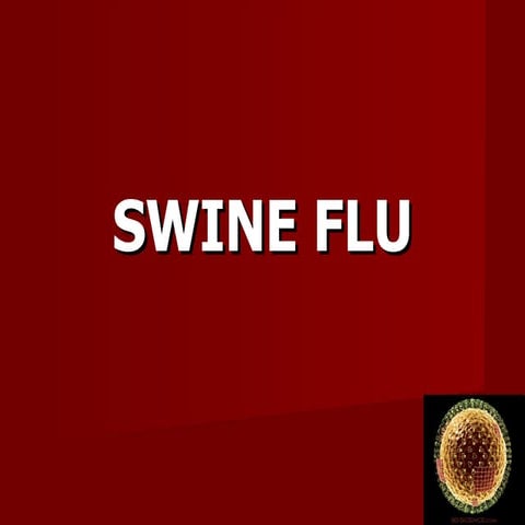 Swine flue | PPT