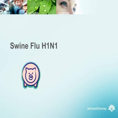 Swine Flu Ppt Ppt