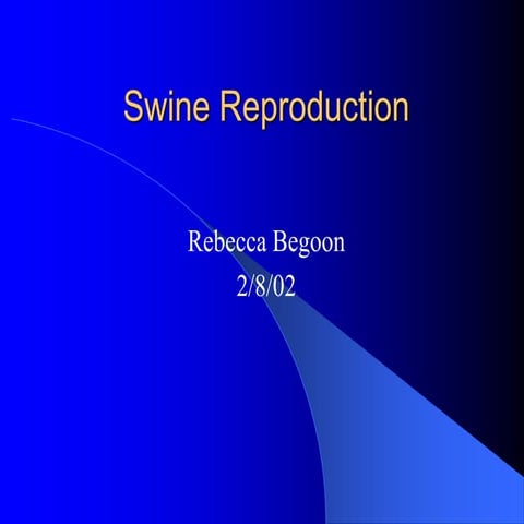 Swine Production and Classes - Animal Production.ppt