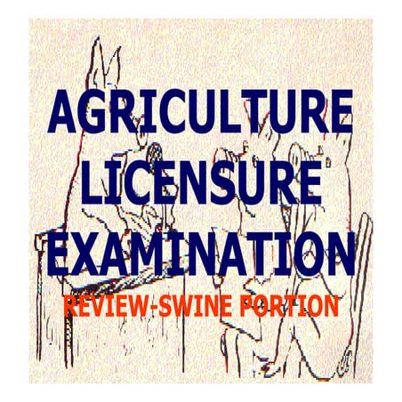 mountainfusksjidkdbskmsbdkskdjismdbod.pptx