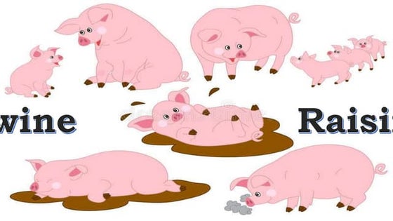 SUCCESSFUL ENTREPRENEURS IN ANIMAL AND FISH RAISING.pptx