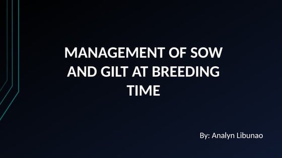 Care and management sow and gilts | PDF