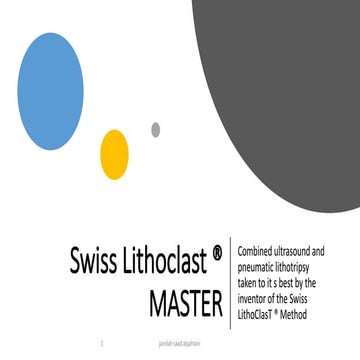 Swiss lithoclast master | PPTX