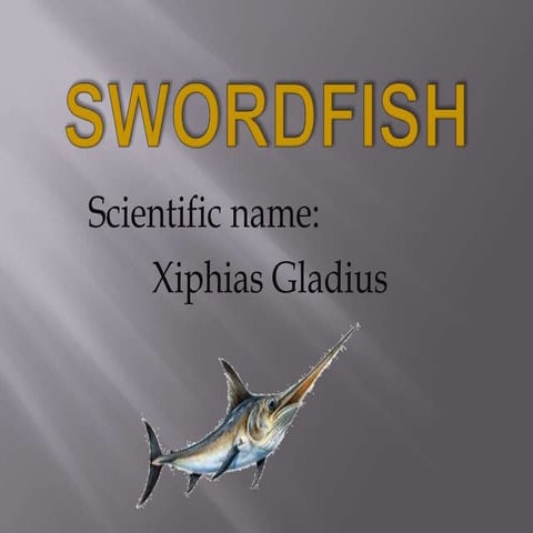 Swordfish i.l. | PPTX
