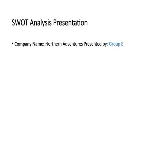 SWOT_Analysis_Group E_Presentation 1.pptx