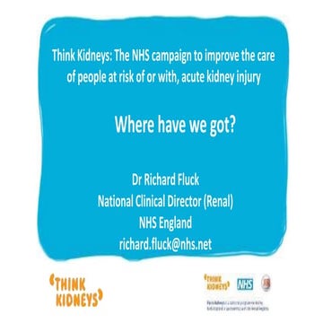 Think Kidneys programme update 2017 | PPTX