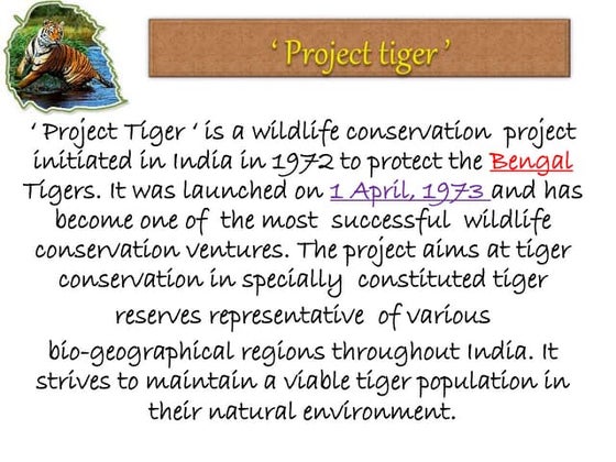 Tiger-project for High School Students | PPT