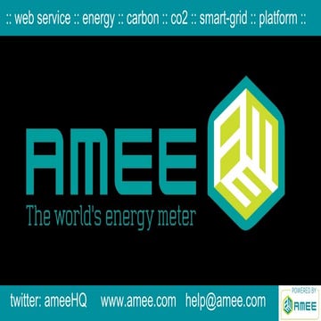AMEE at SXSW 2009 show | PPT