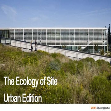 The Ecology of Site, Urban Edition | PPTX