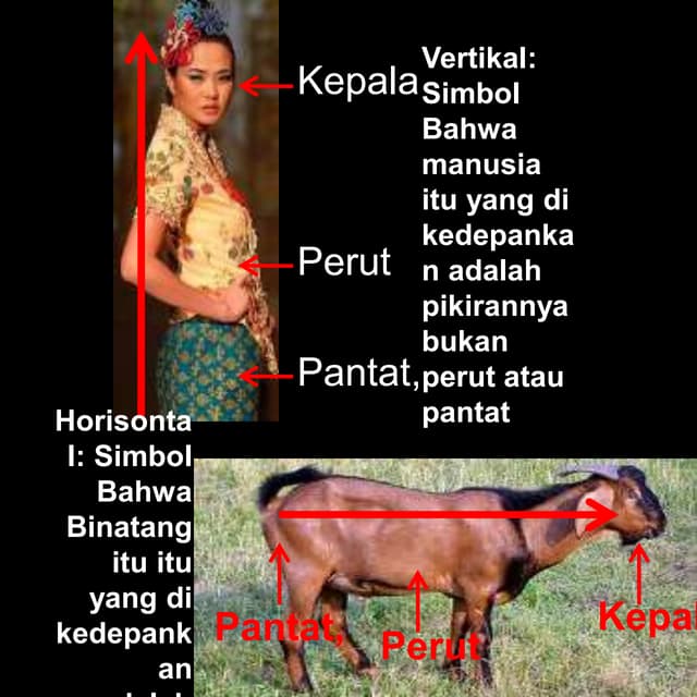 Syarifudin, perbedaan manusia dan pikiran | PDF