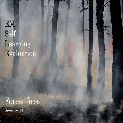 Ppt on forest fires | PPTX