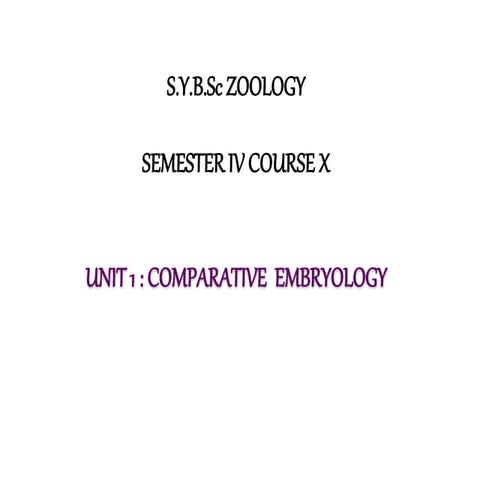 Preparation of Temporary Slides.pptx