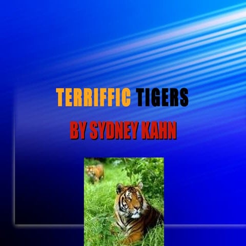 Syds Tiger Report | PPT