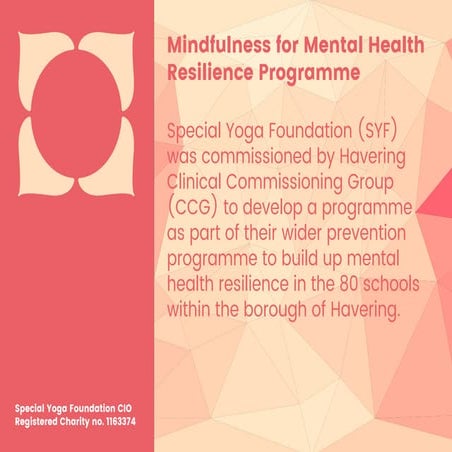 SYF Havering Report 2017 | PDF