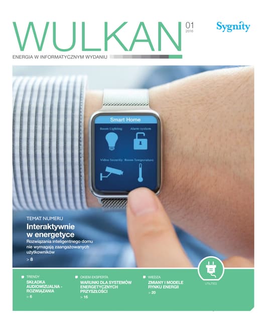 Sygnity S.a. presentations