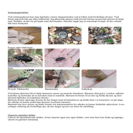 VNT Biotop opgave 3b | DOC