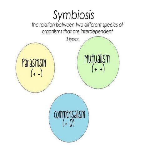Symbiosis | PPT | Biological Sciences | Science