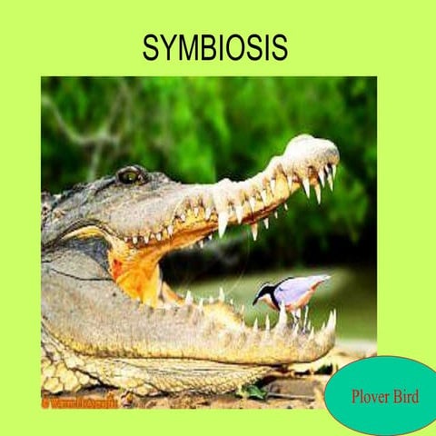 symbiosis.pdf | Biological Sciences | Science