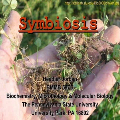 Symbiosis Presentation | PPT