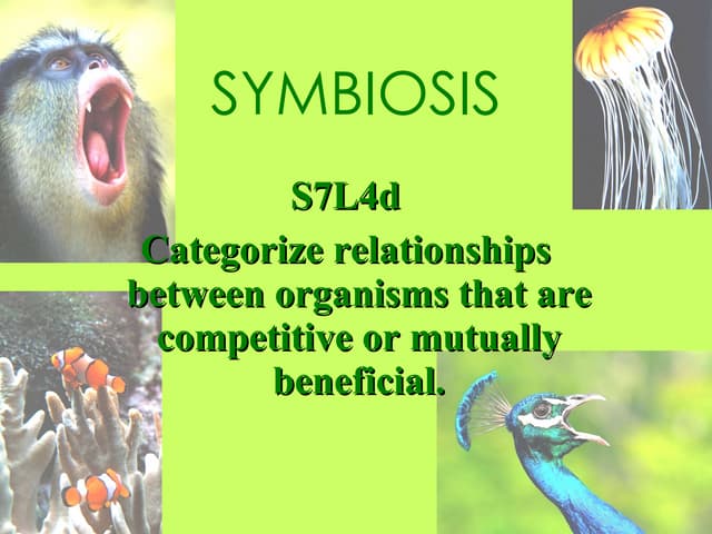 Exploring 5 Examples of Symbiotic Relationships | The Lifesciences ...