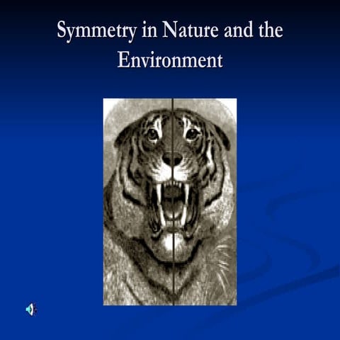Symmetry Around Us | PPT