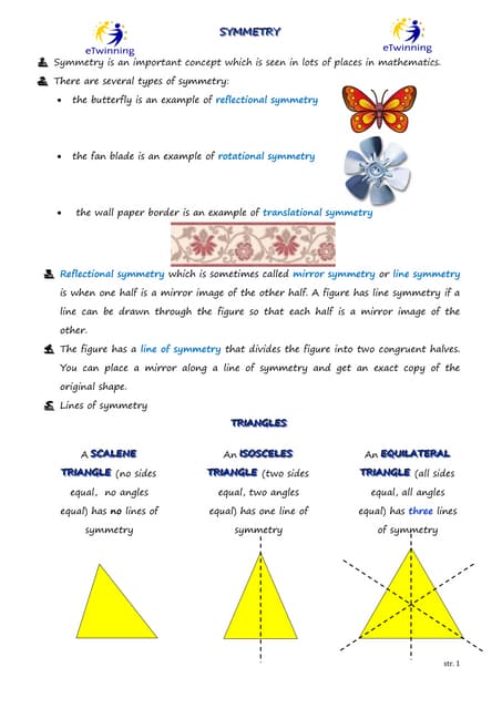 Maths Project: Symmetry | PDF | Physics | Science