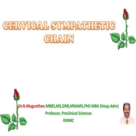 SYMPATHETIC SYSTEM & CERVICAL SYMPATHETIC CHAIN -Prof.Dr.N.Mugunthan ...
