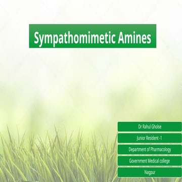 Sympathomimetic Amines.presentation, rahul gholse | PPTX