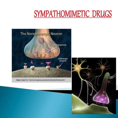 Sympathomimetic drugs | PPT